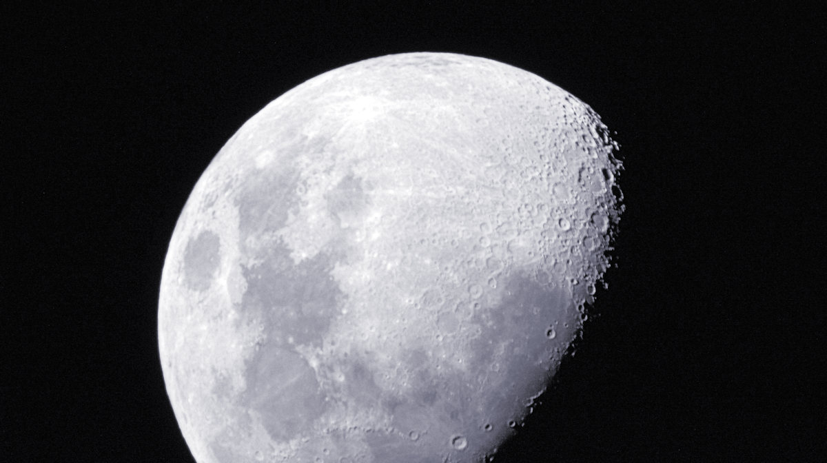 Moons: a Review of the Course - Online Learning Success